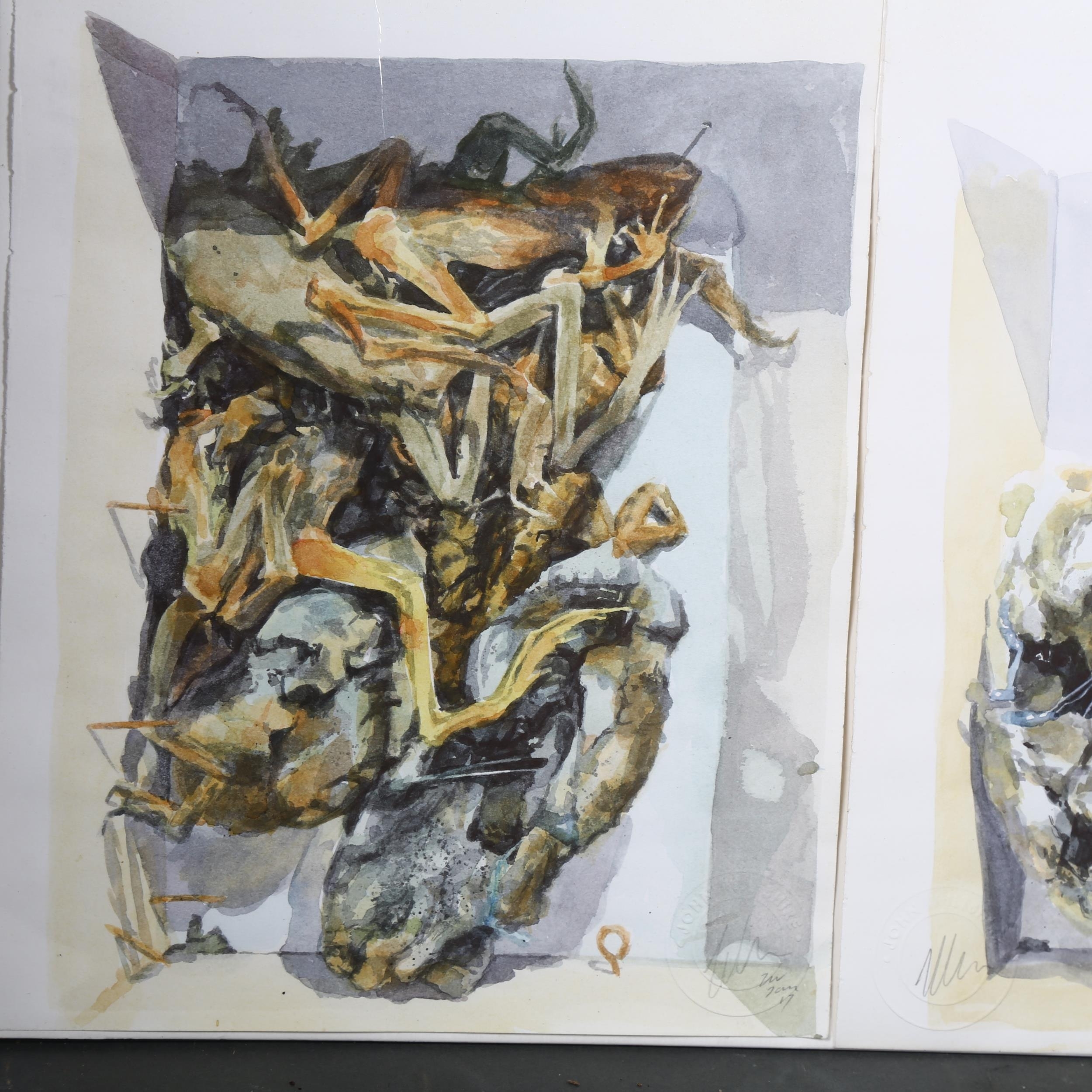 John Wiltshire | Typhonus Wakes For Dawn | MutualArt