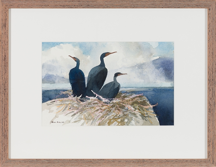 Sam Black | Comorants Howe Sounds | MutualArt