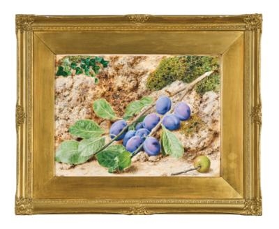 John Sherrin | Ein Zweig mit Zwetschken vom Baum auf bemoostem Boden ...