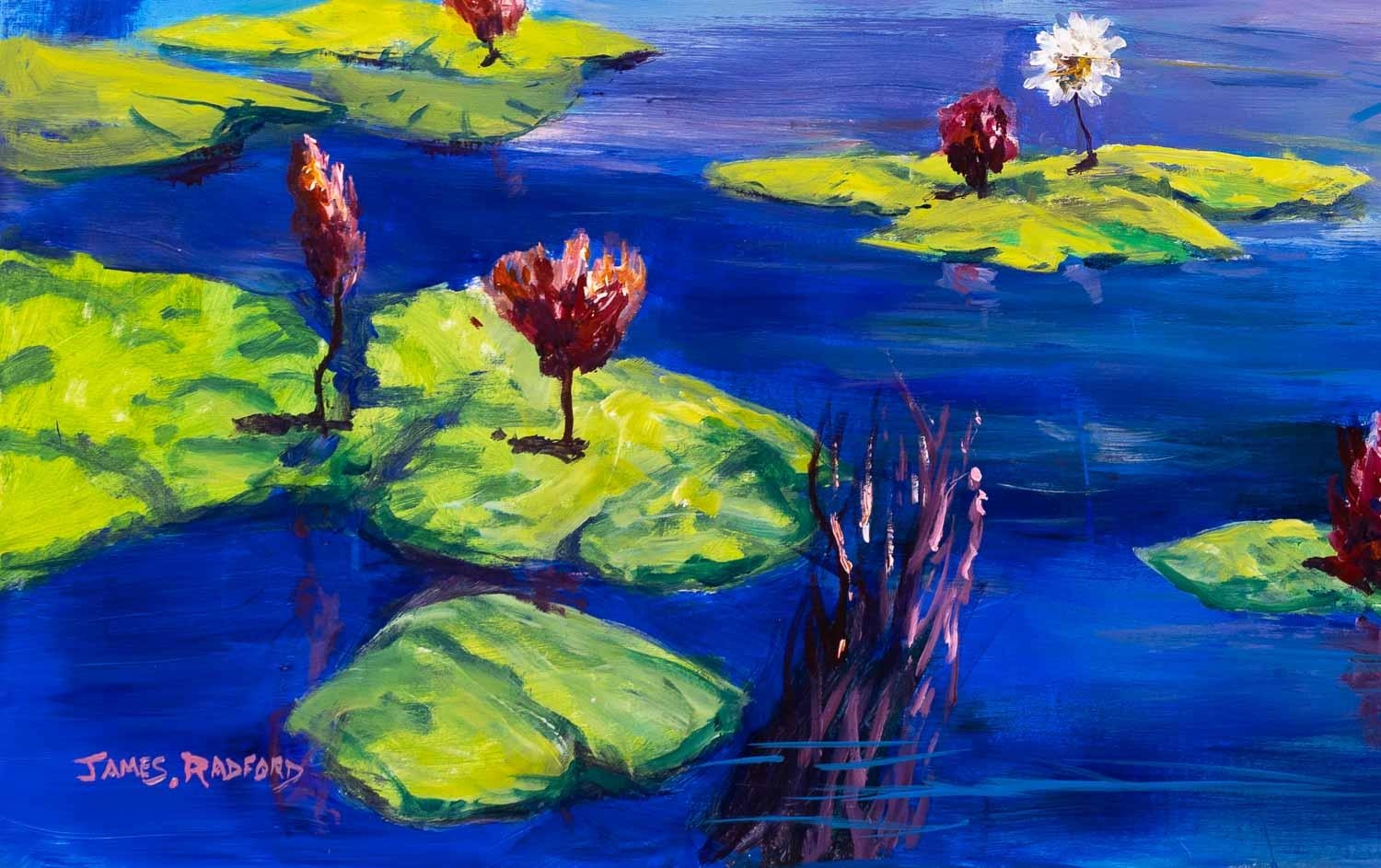 James Radford | The Lily Pond (2022) | MutualArt