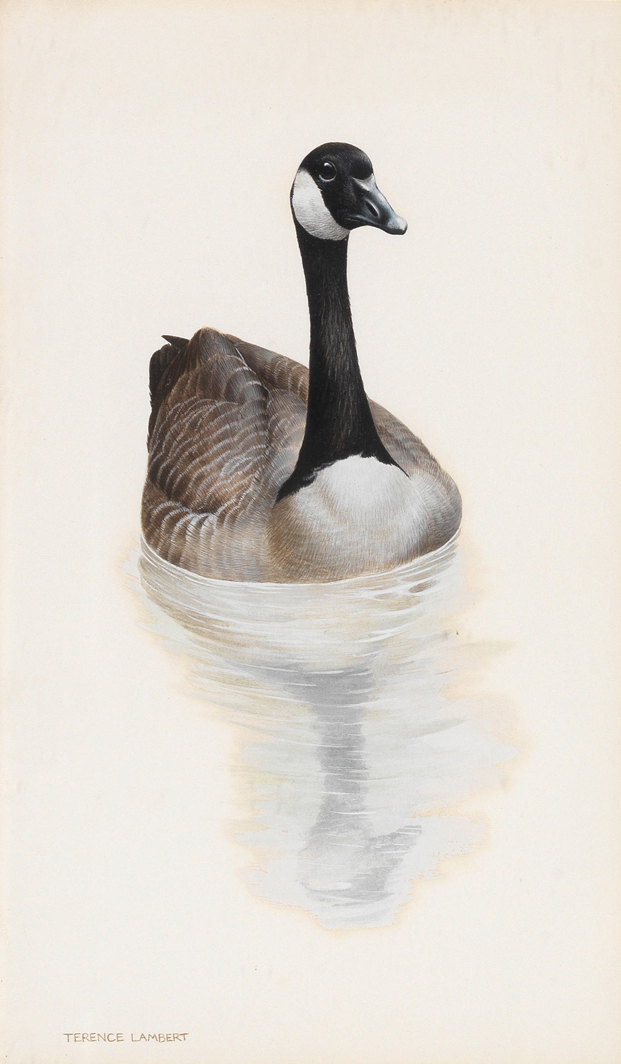 Terence Lambert | Bee Eaters - Study Sheet | MutualArt