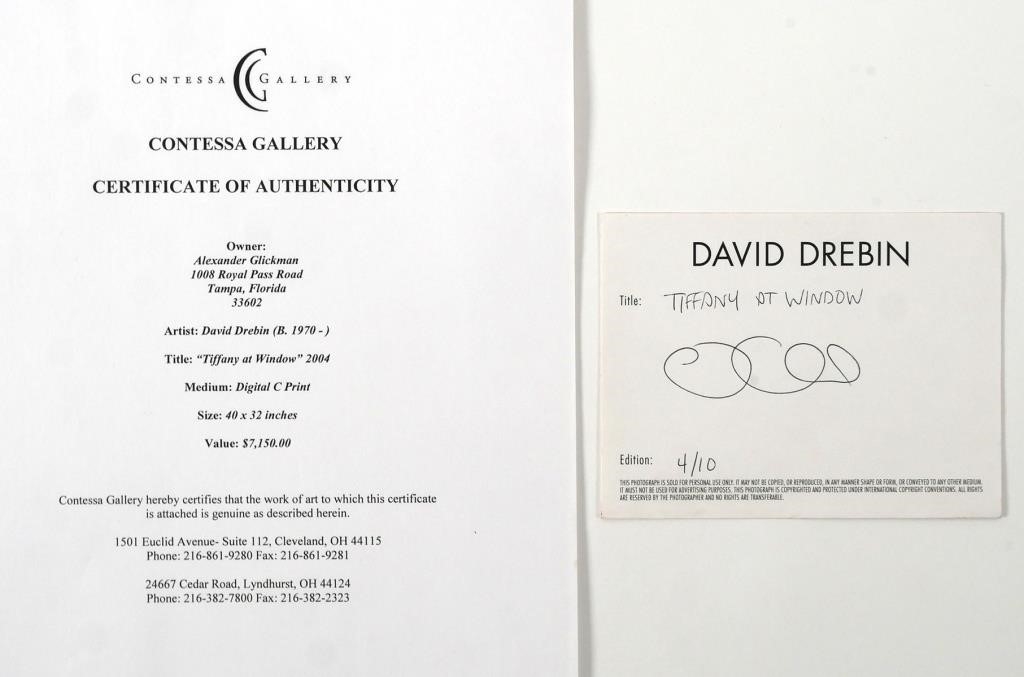 David Drebin | of a female figure at a window looking down on a city by ...