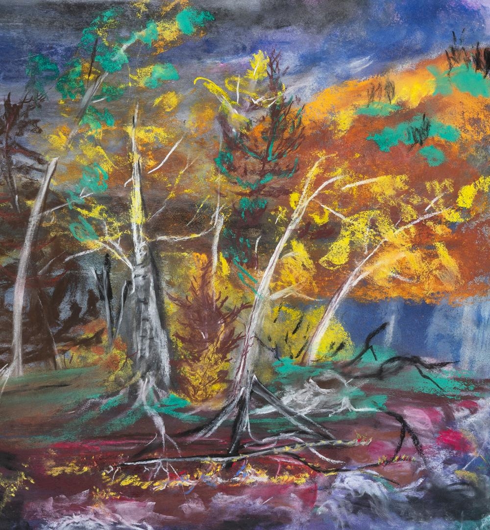 Larry Devine | Fire Island Killarney Provincial Park (1987) | MutualArt