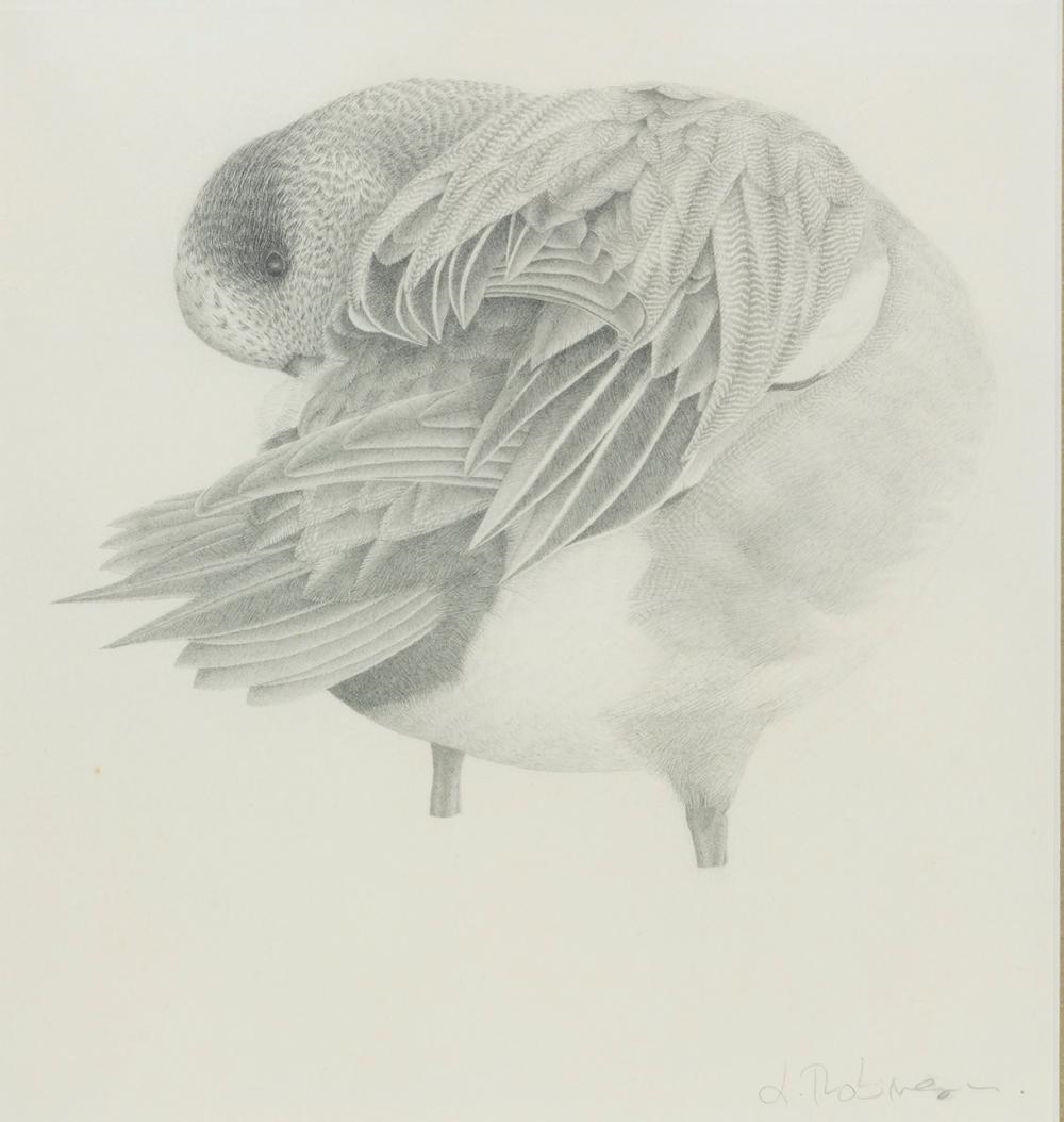 Larry Robinson | Duck | MutualArt