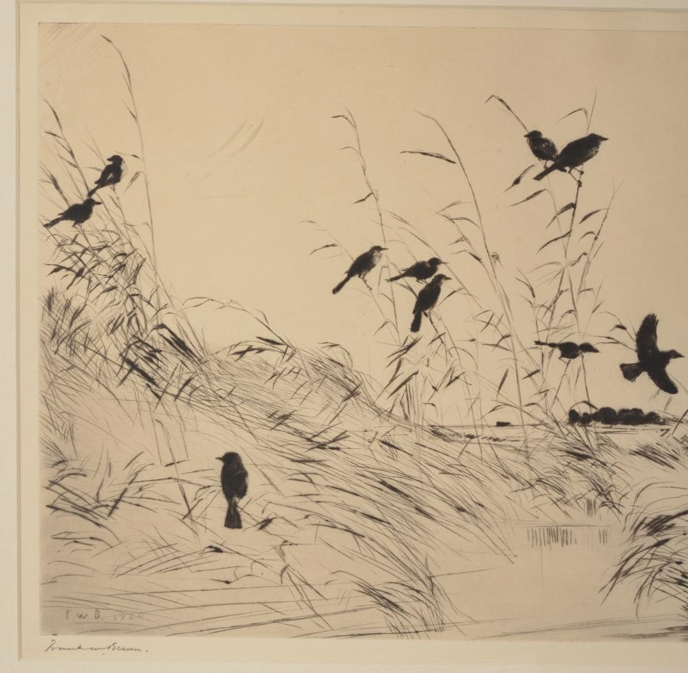 Frank Weston Benson | Etching Blackbirds and Rushes | MutualArt