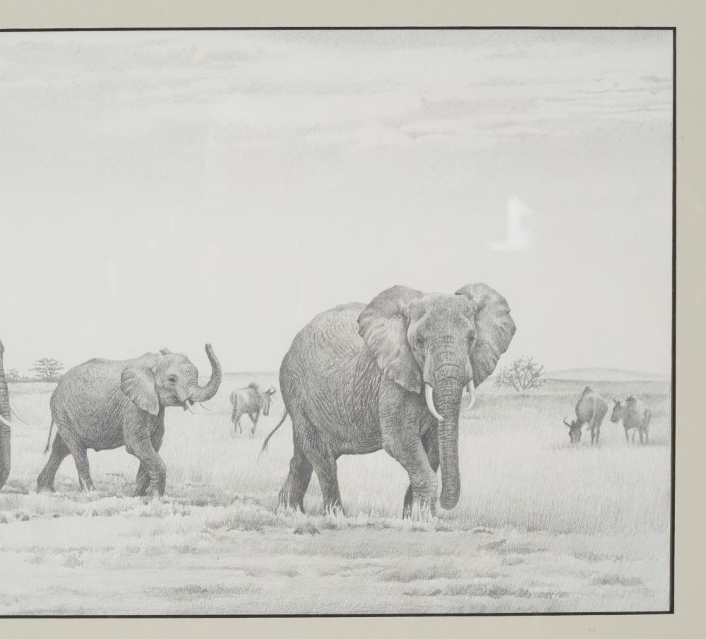 Lindsay Scott | Pencil of sketch elephants | MutualArt