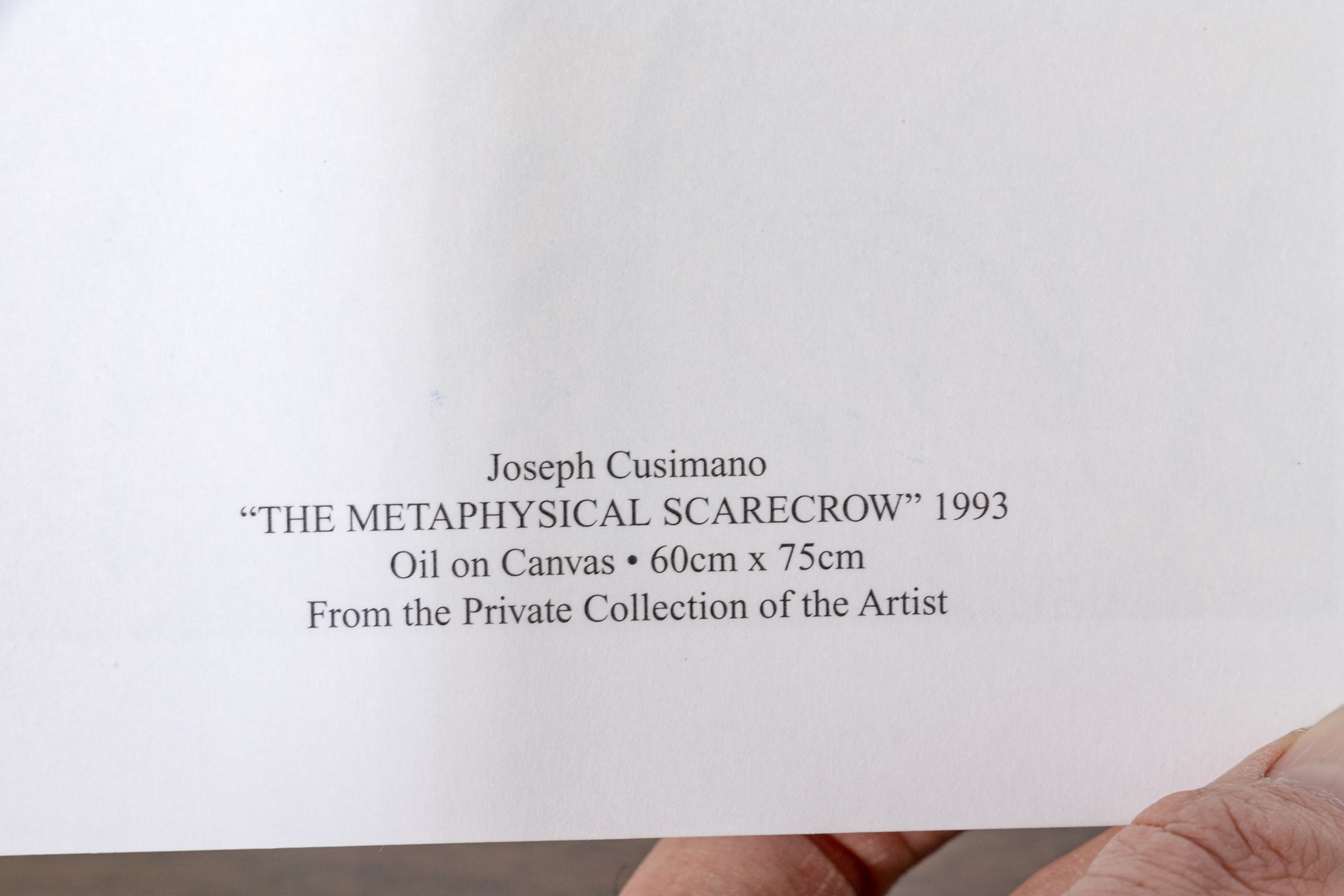 Joseph Cusimano | The Metaphysical Scarecrow (2012) | MutualArt