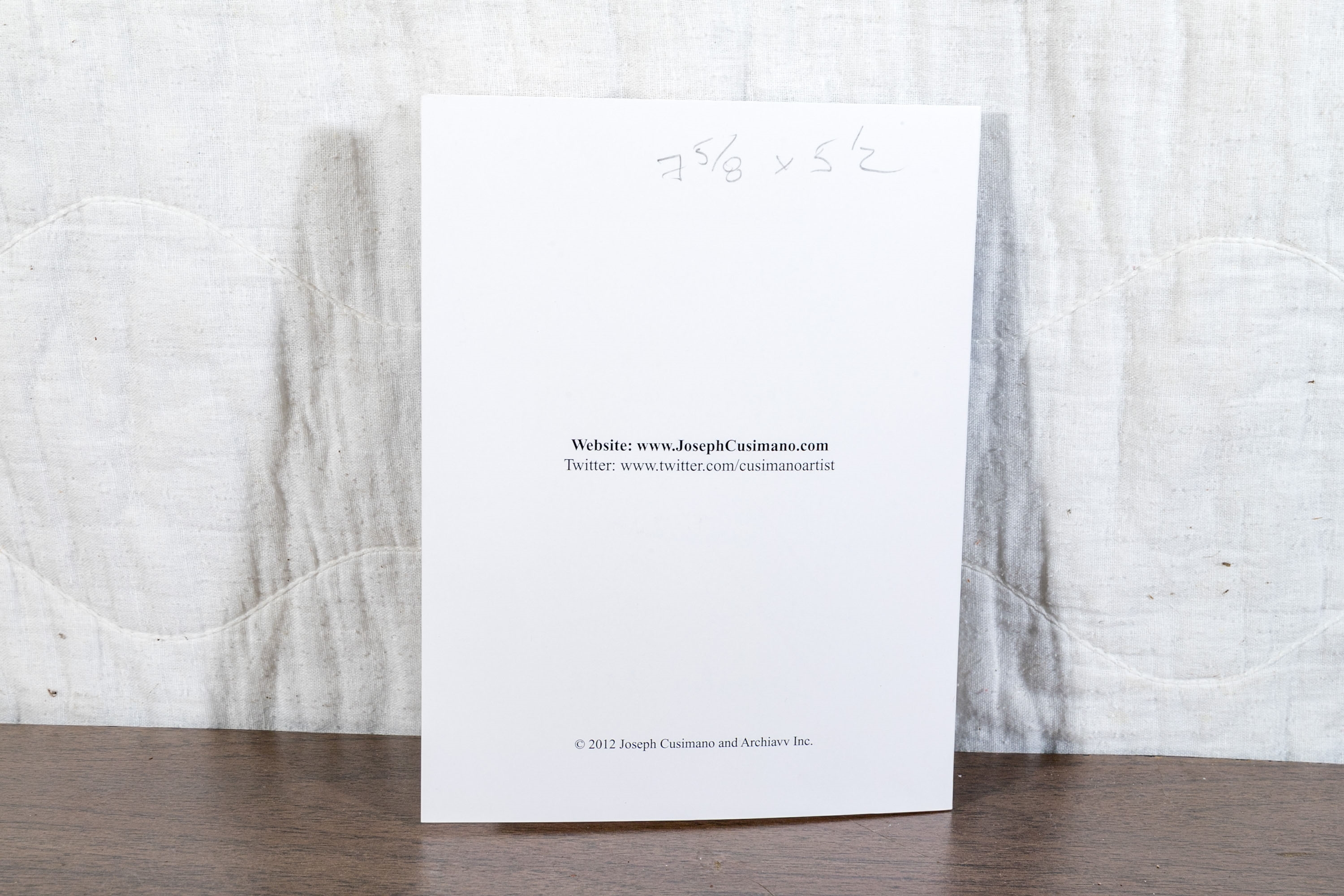 Joseph Cusimano | The Metaphysical Scarecrow (2012) | MutualArt