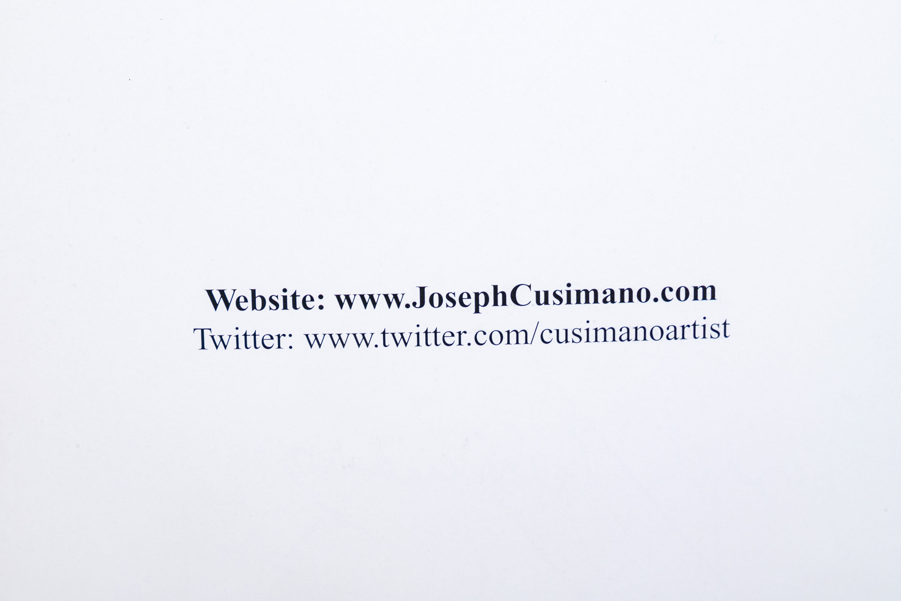 Joseph Cusimano | The Metaphysical Scarecrow (2012) | MutualArt