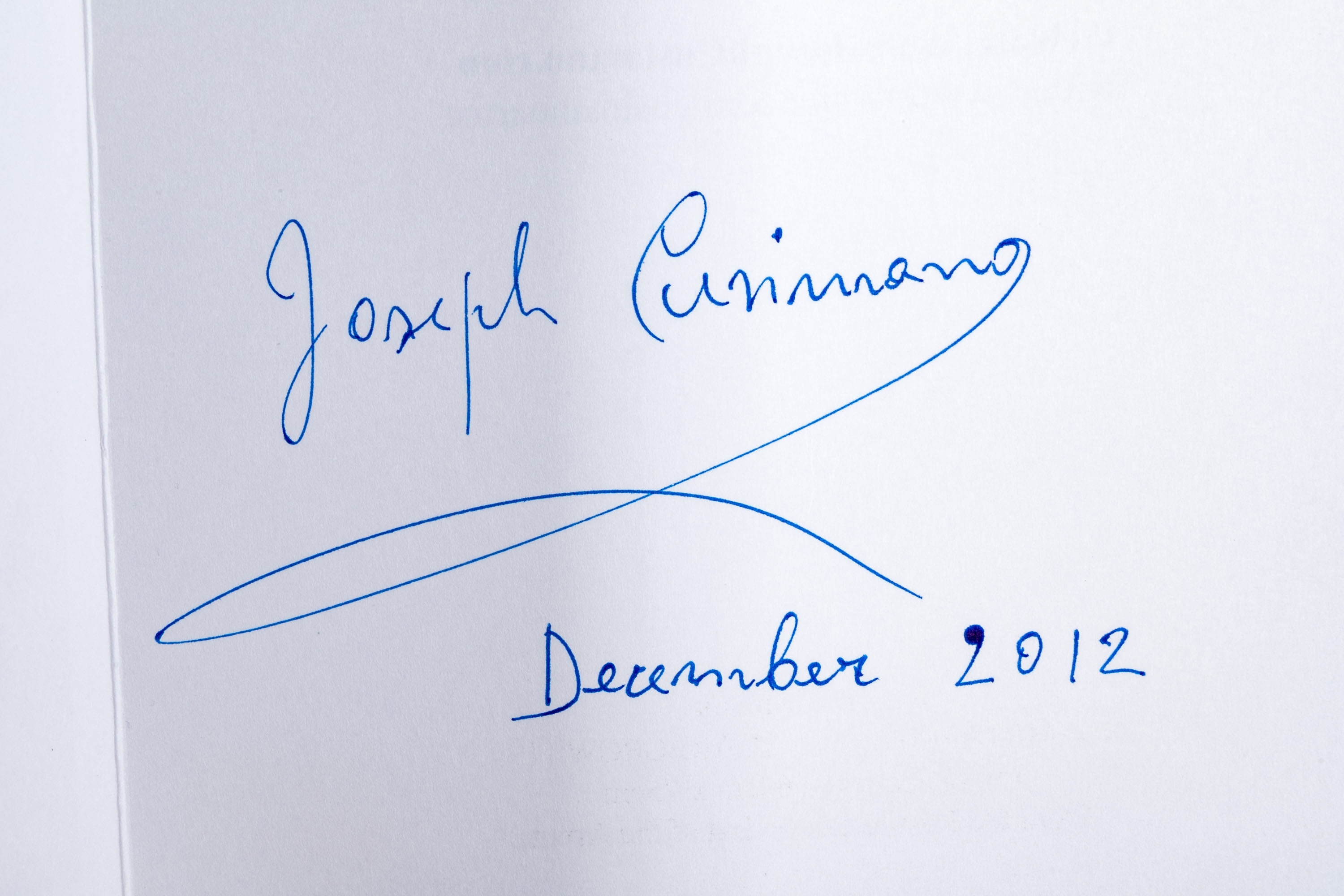 Joseph Cusimano | The Metaphysical Scarecrow (2012) | MutualArt