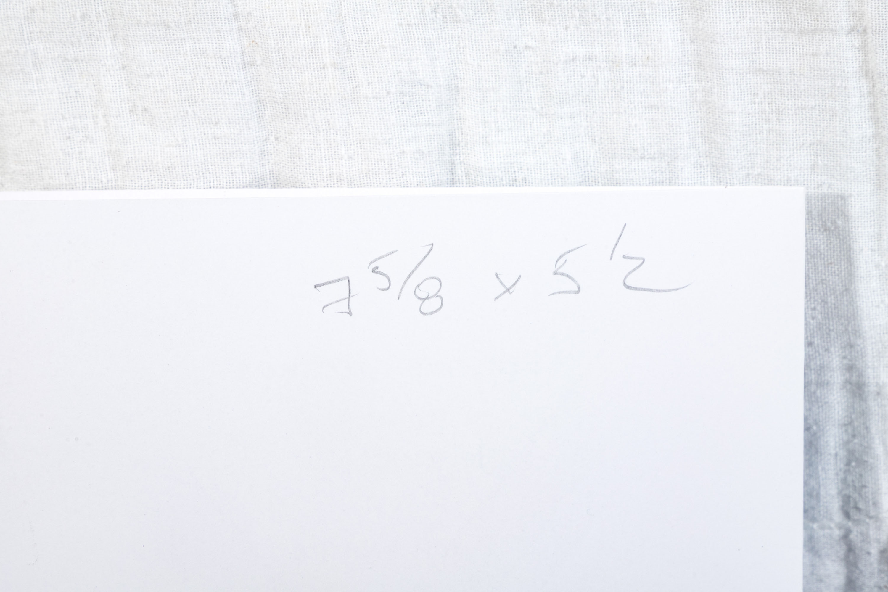 Joseph Cusimano | The Metaphysical Scarecrow (2012) | MutualArt