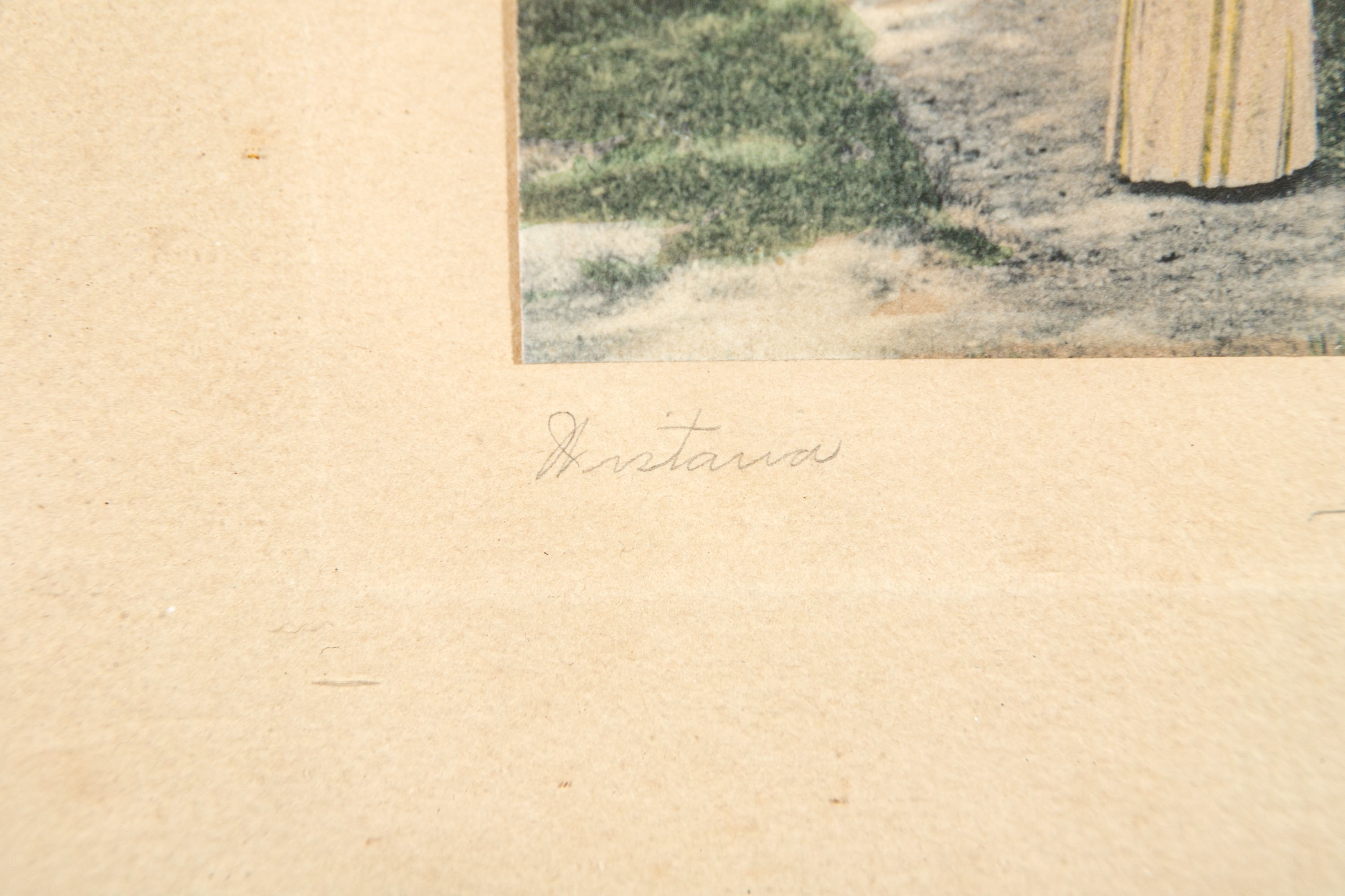 David Davidson | Wisteria | MutualArt