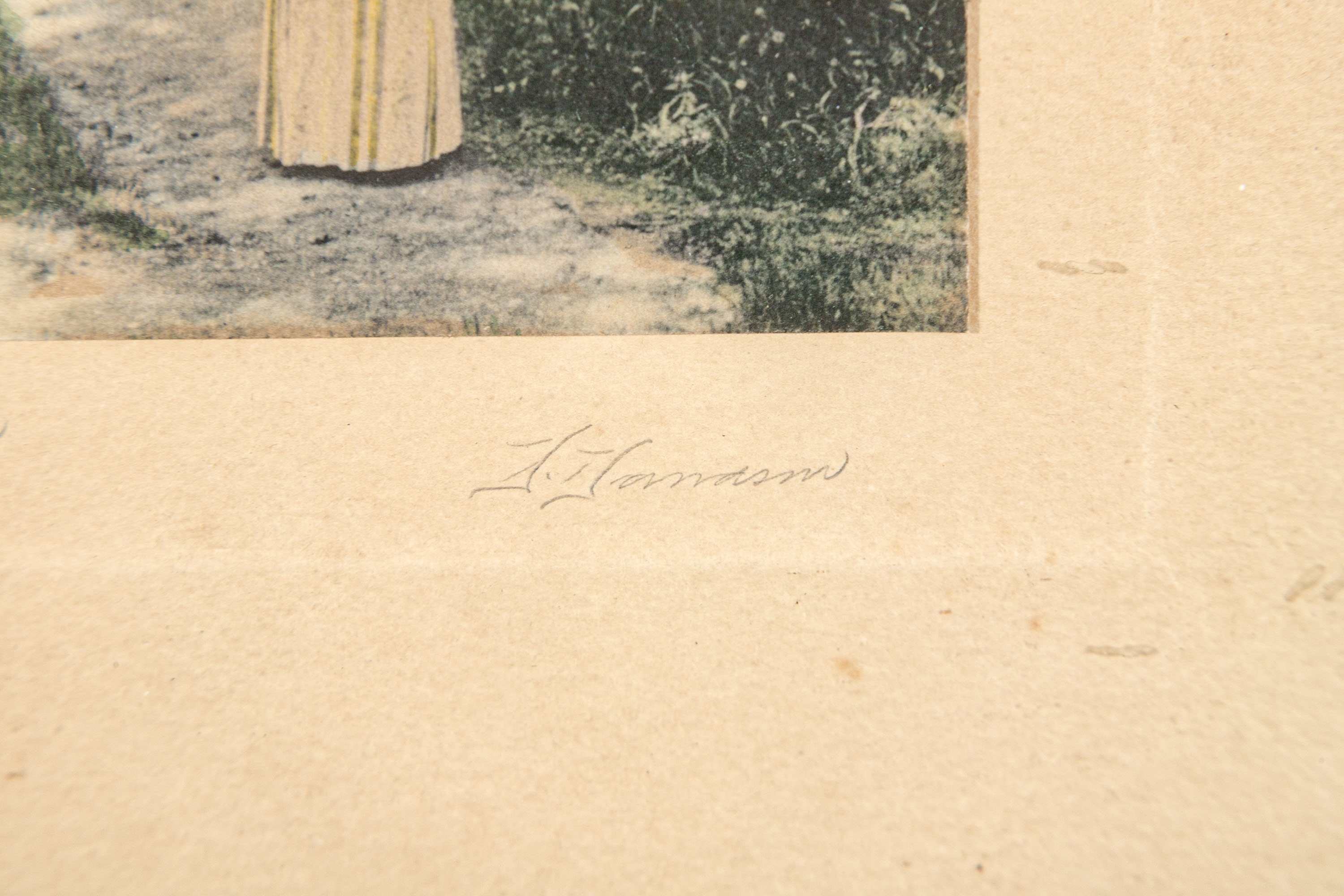 David Davidson | Wisteria | MutualArt