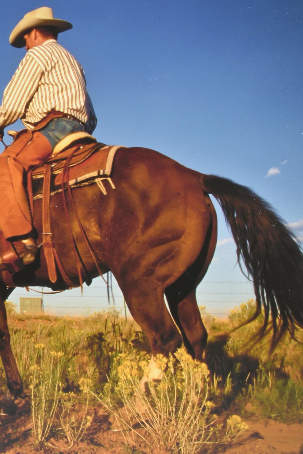 Marc Morrison | Durango Cowboy and Pumpjack (21st Century) | MutualArt