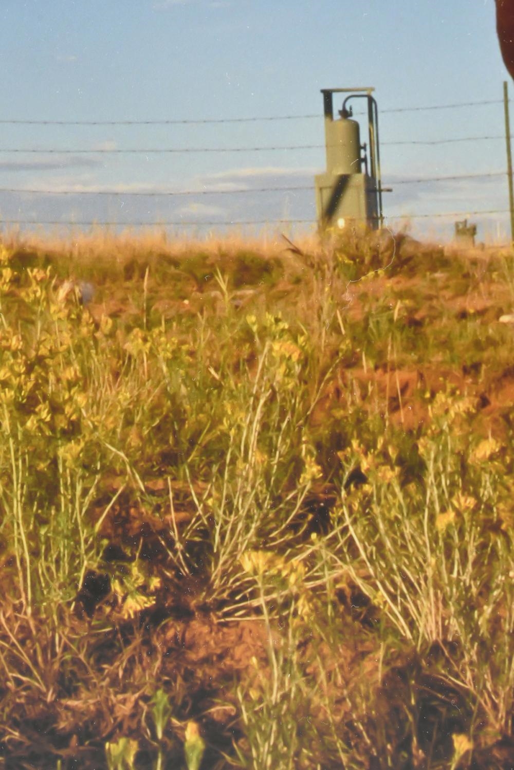 Marc Morrison | Durango Cowboy and Pumpjack (21st Century) | MutualArt