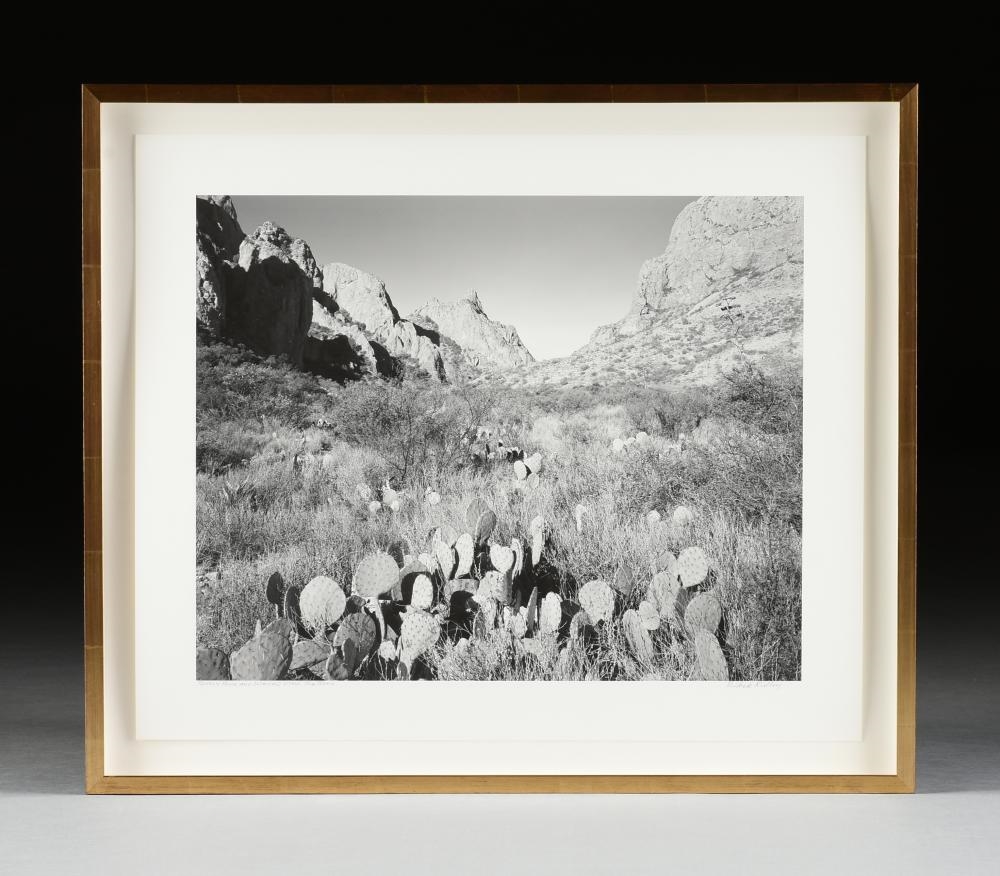 Jack Ridley | Prickly Pear and Window View (2011) | MutualArt