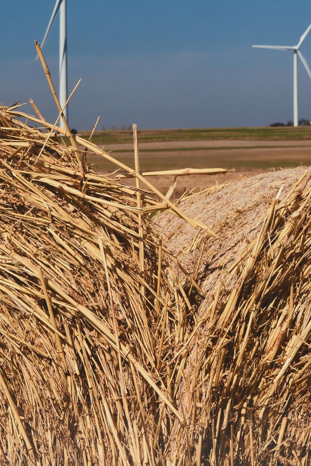 Marc Morrison | Durango Turbines and Hay (21st Century) | MutualArt