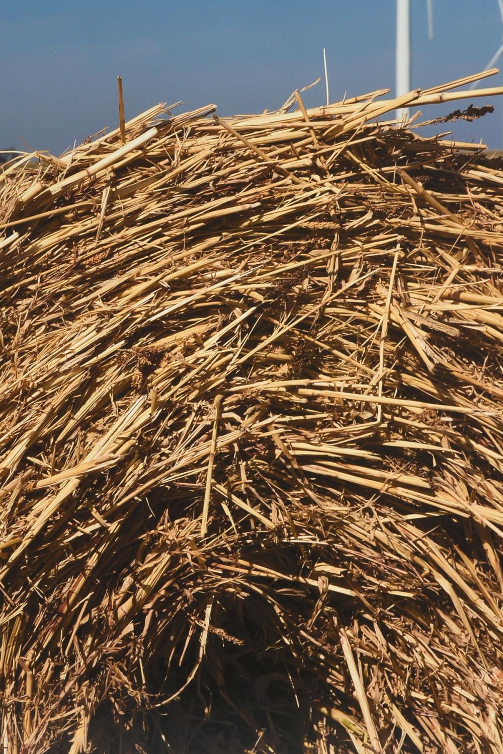 Marc Morrison | Durango Turbines and Hay (21st Century) | MutualArt