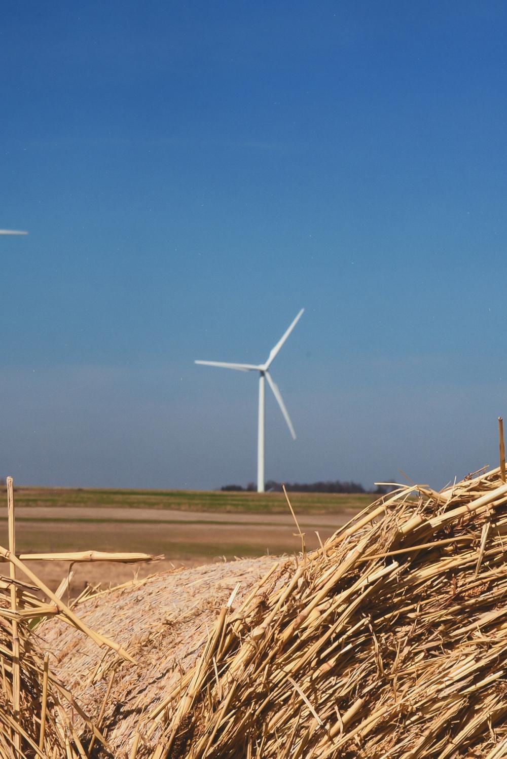 Marc Morrison | Durango Turbines and Hay (21st Century) | MutualArt