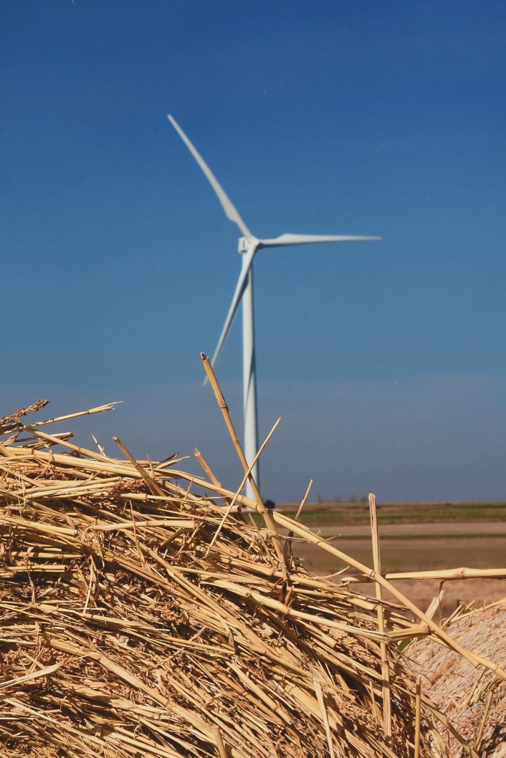 Marc Morrison | Durango Turbines and Hay (21st Century) | MutualArt