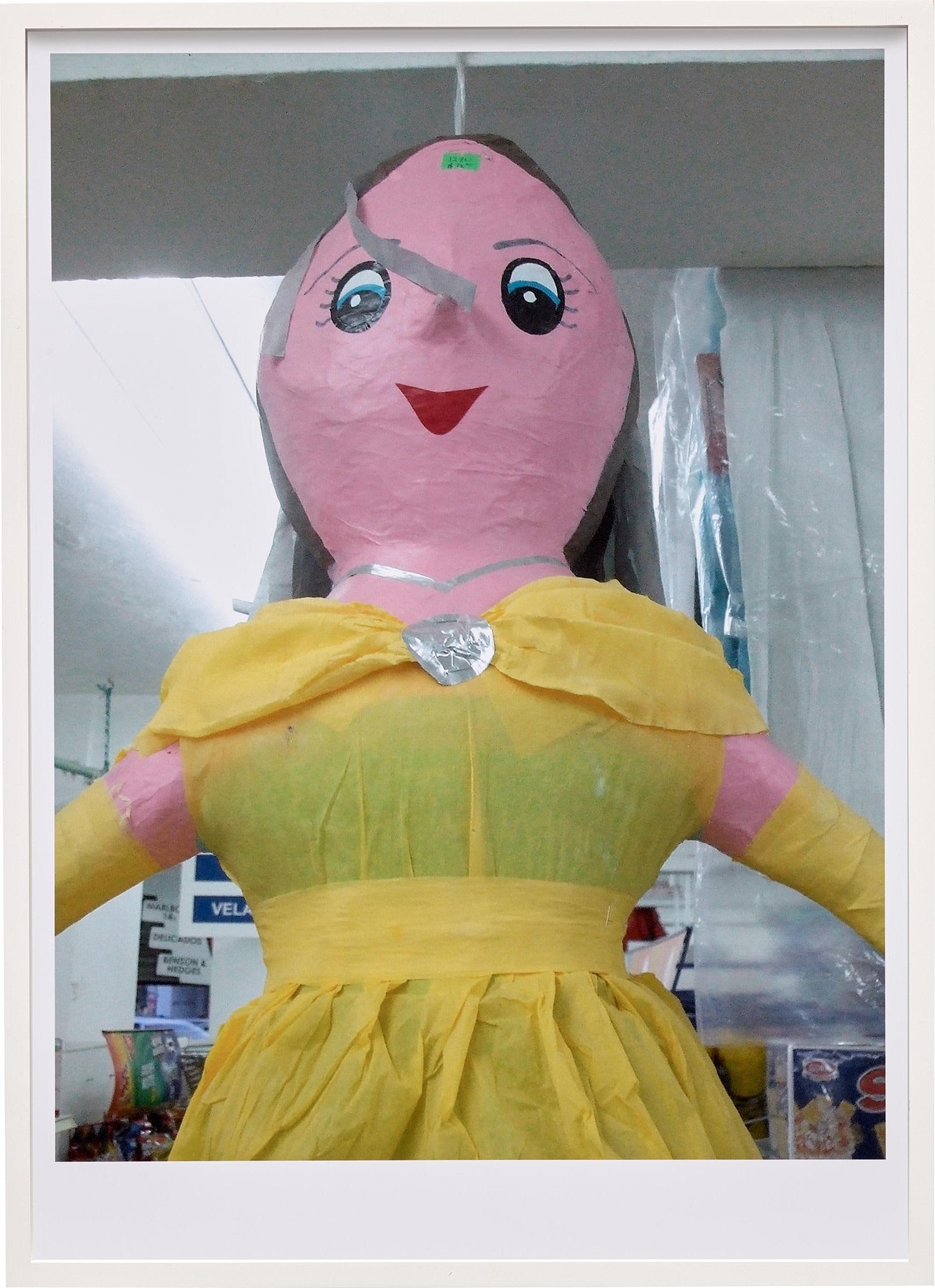 Rachel Harrison | Five works: (i-v) Voyage of the Beagle, Three (Second ...