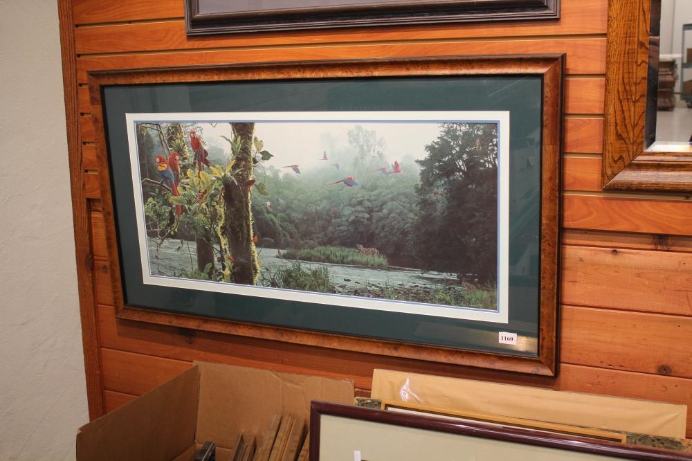 Rod Frederick | TROPICAL FOREST | MutualArt