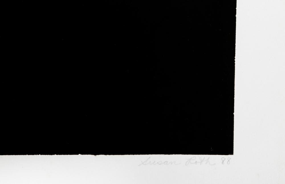 Susan Roth | DARK (1988) | MutualArt