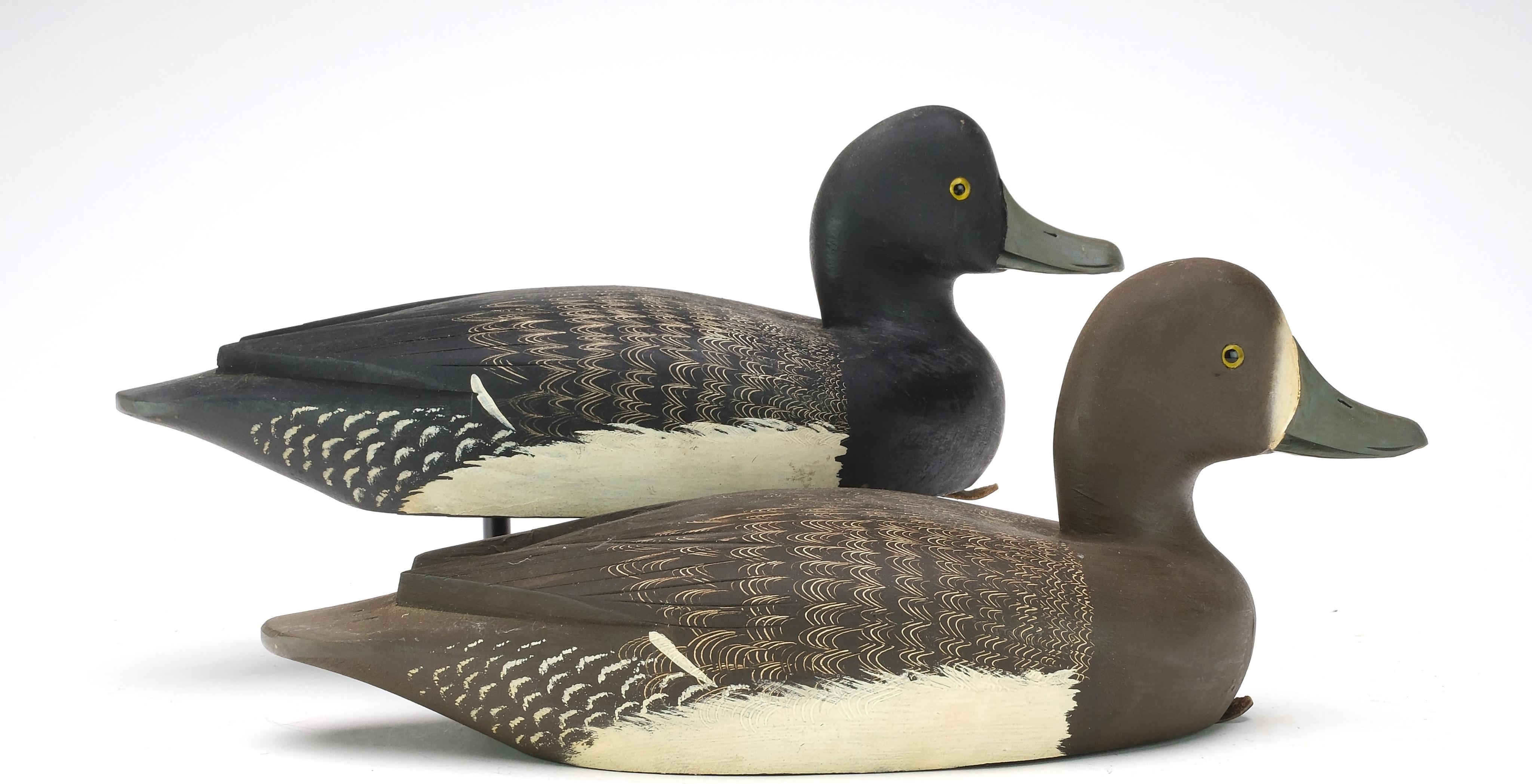 Reg Bloom | Pair of bluebills | MutualArt