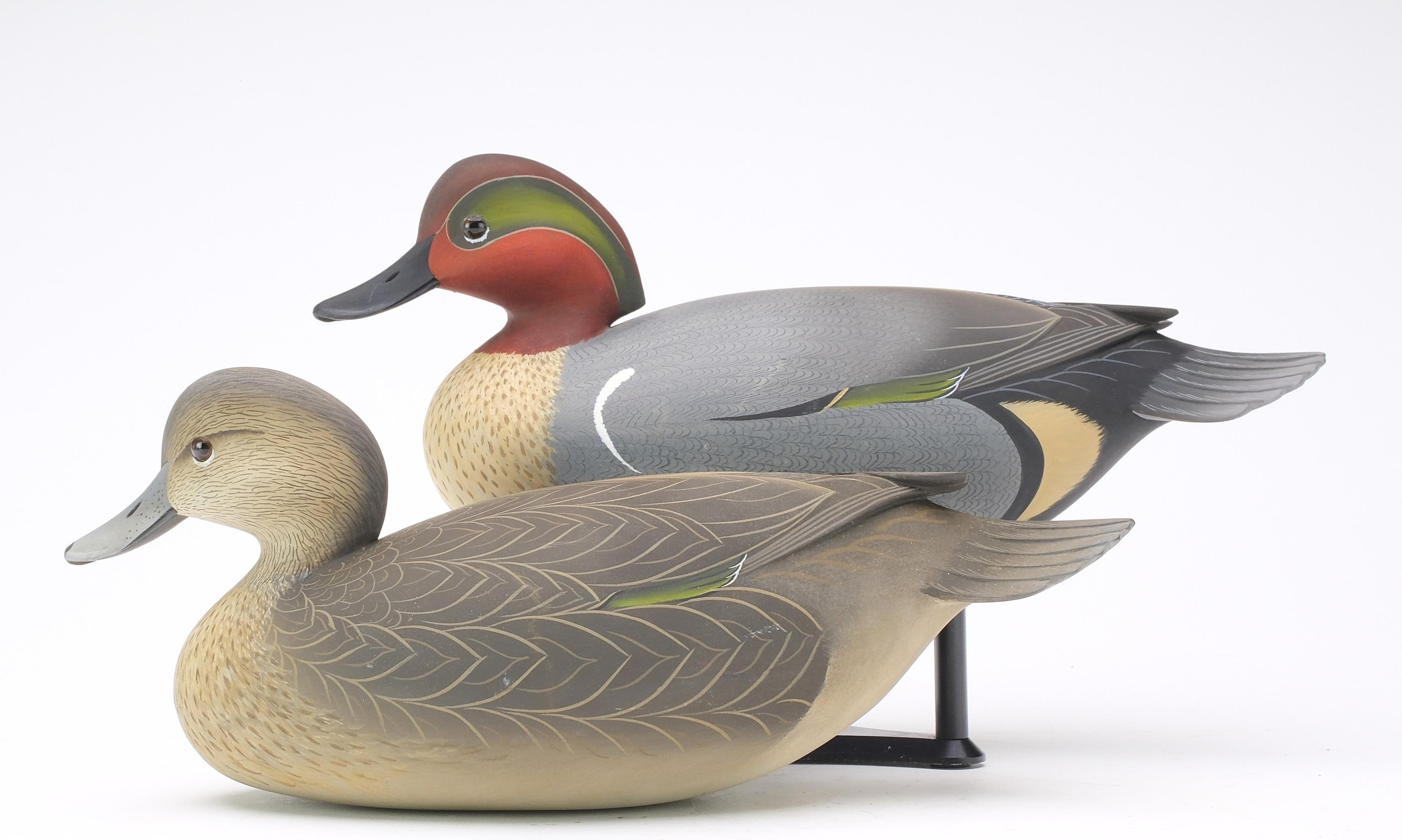 George Strunk | Pair of green wing teal | MutualArt