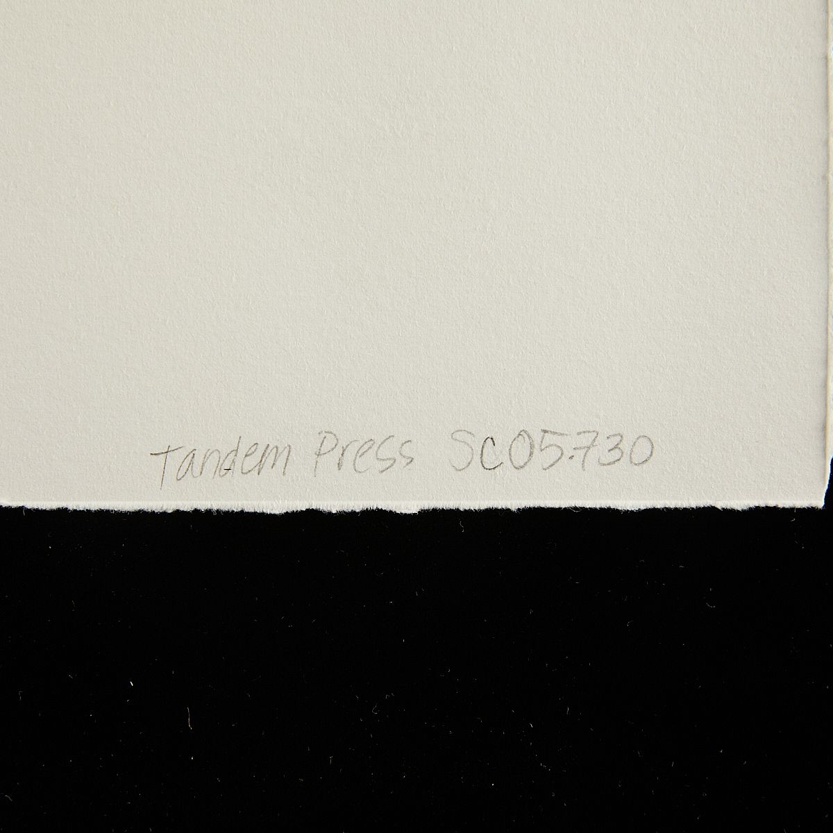 Squeak Carnwath | Squeak Carnwath Same Boat Mixed Media 2006 (2006 ...