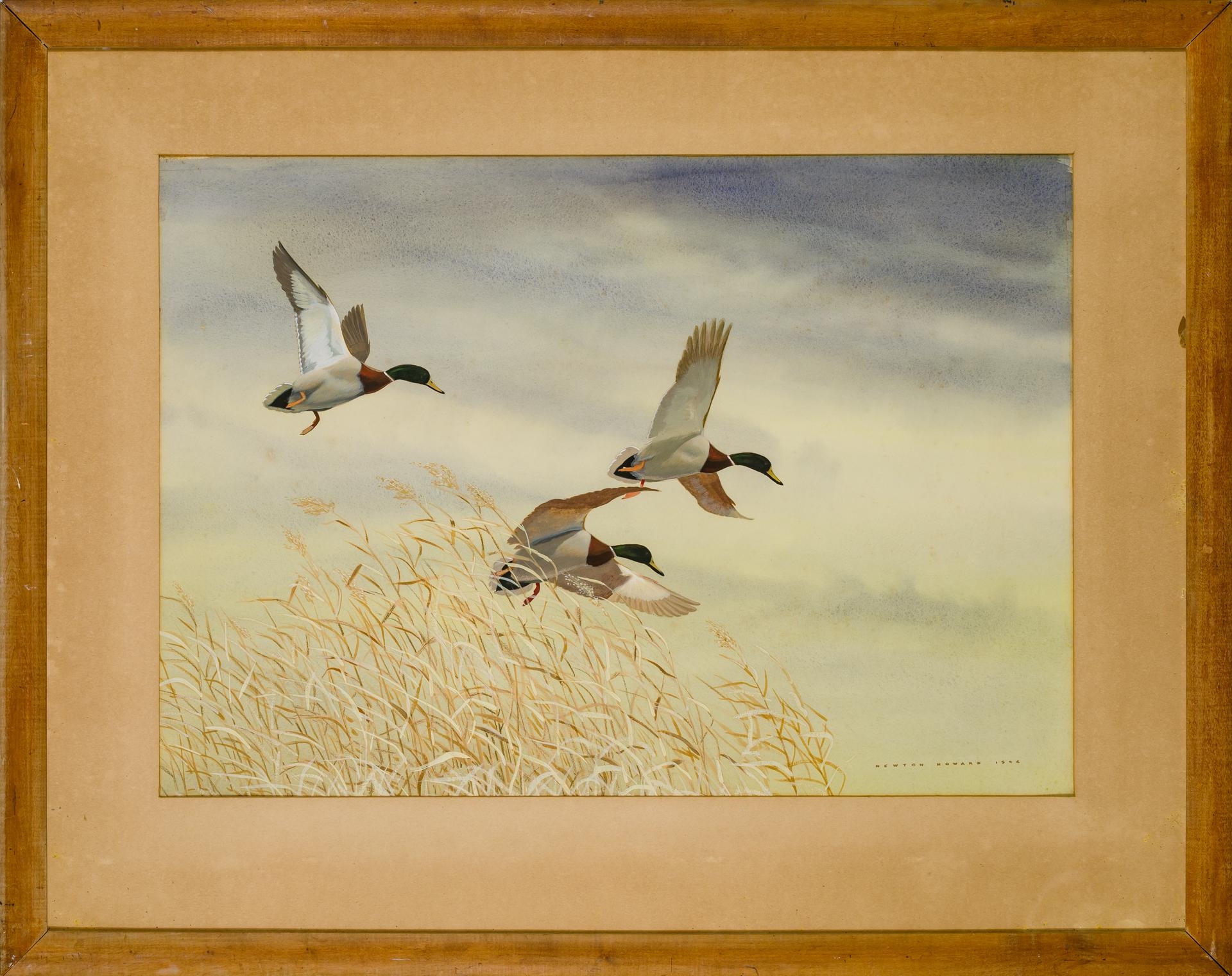 Newton Reeve Howard | Mallards in Flight, 1946 (1946) | MutualArt