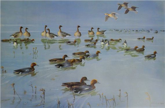 Peter Markham Scott | Duck over wetlands | MutualArt
