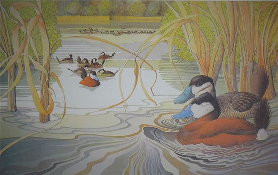 Michael Warren | WARREN, MICHAEL (born 1938) British (AR), Ruddy Ducks ...