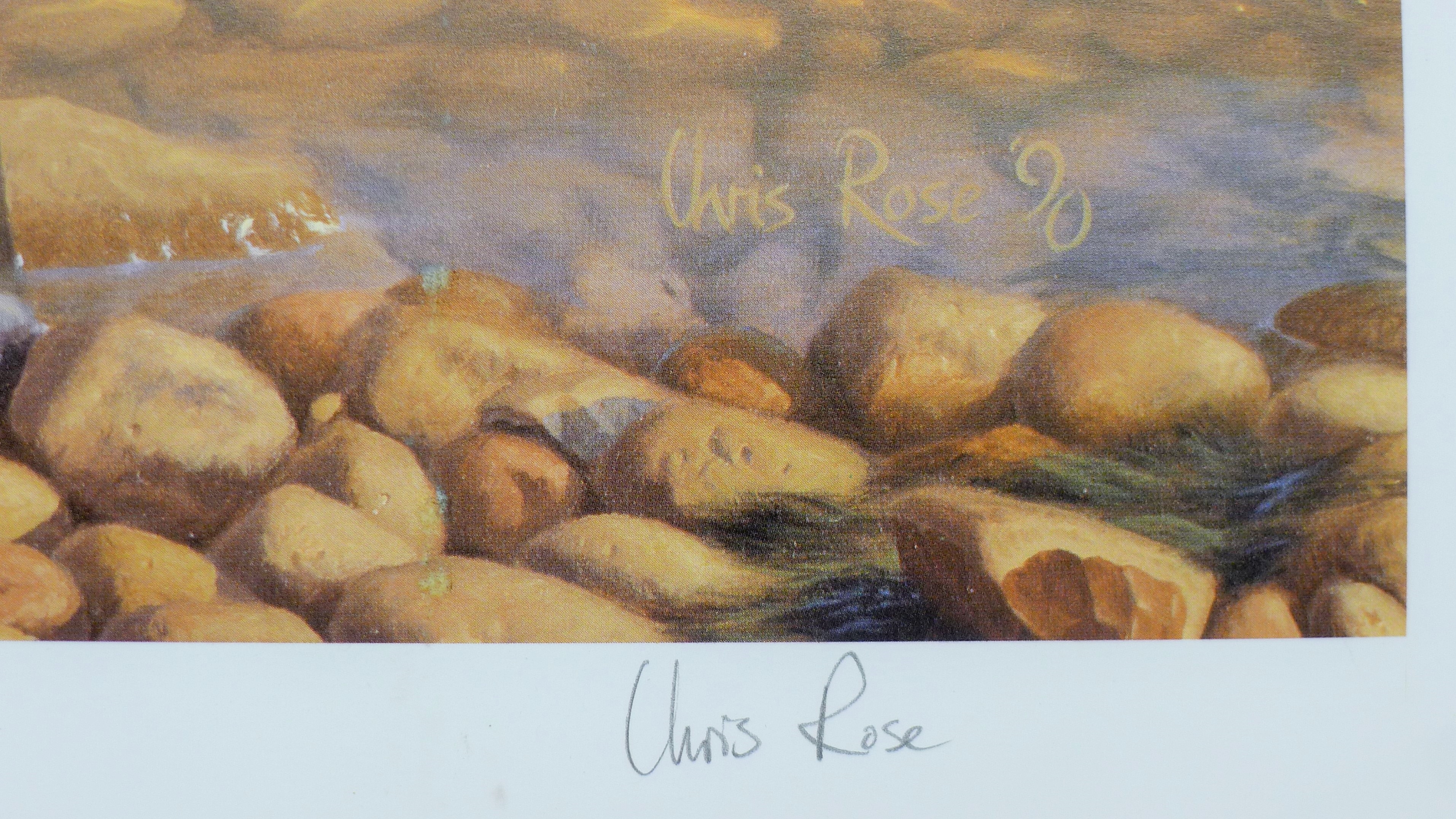 Chris Rose | ROSE, CHRIS (born 1959) British (AR), Godwits, print ...