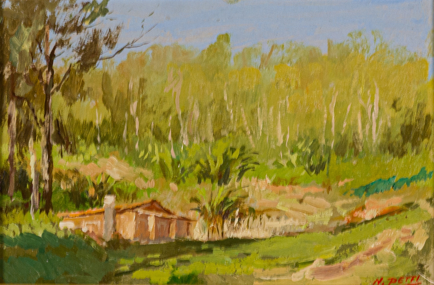 Nicola Petti | Eucaliptos | MutualArt