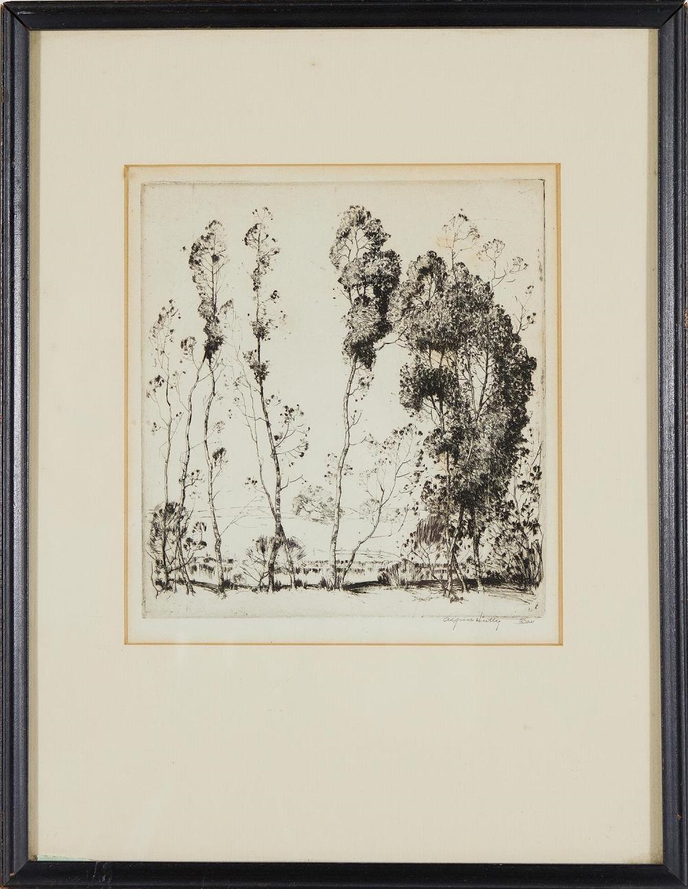 Alfred Heber Hutty | TREES AGAINST THE SKY, c.1923 (Circa 1923) | MutualArt