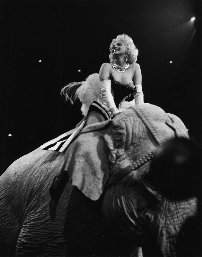 Erika Stone | Marilyn Monroe Riding a Pink Elephant at the Opening of ...