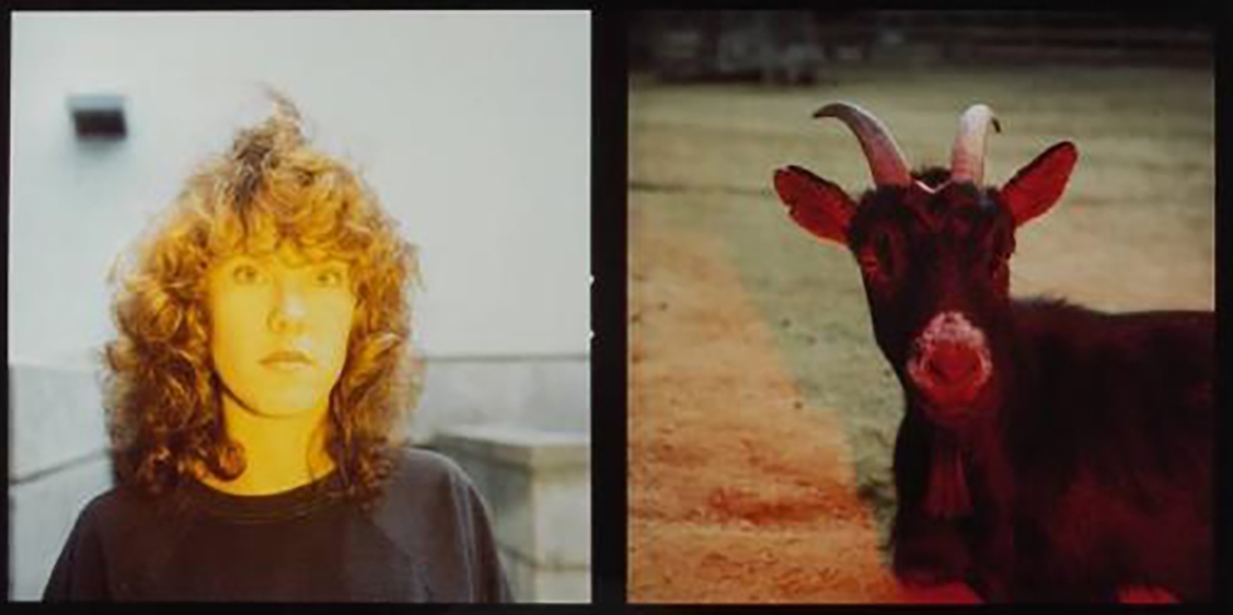 John Divola | 4 Works: Selected Images from Isolated Houses | MutualArt