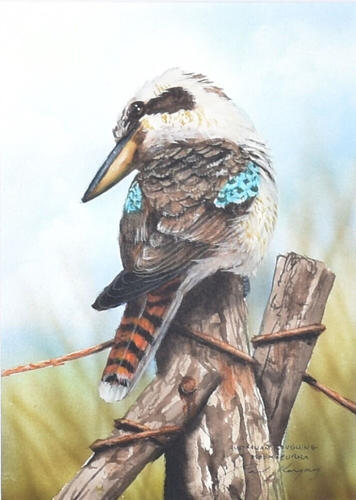 Paul Margocsy | Australian Laughing Kookaburra | MutualArt