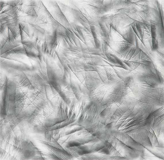 Daniel Canogar | Life lines | MutualArt