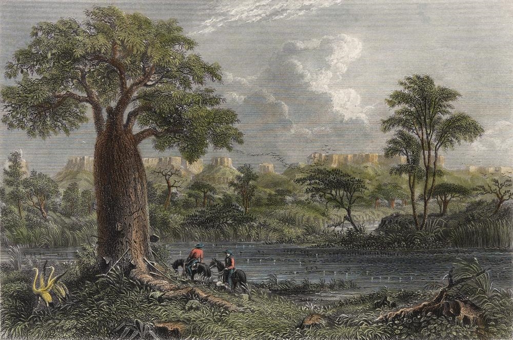 Thomas Baines | Baines River NT (Augustus Gregory Exploration to ...
