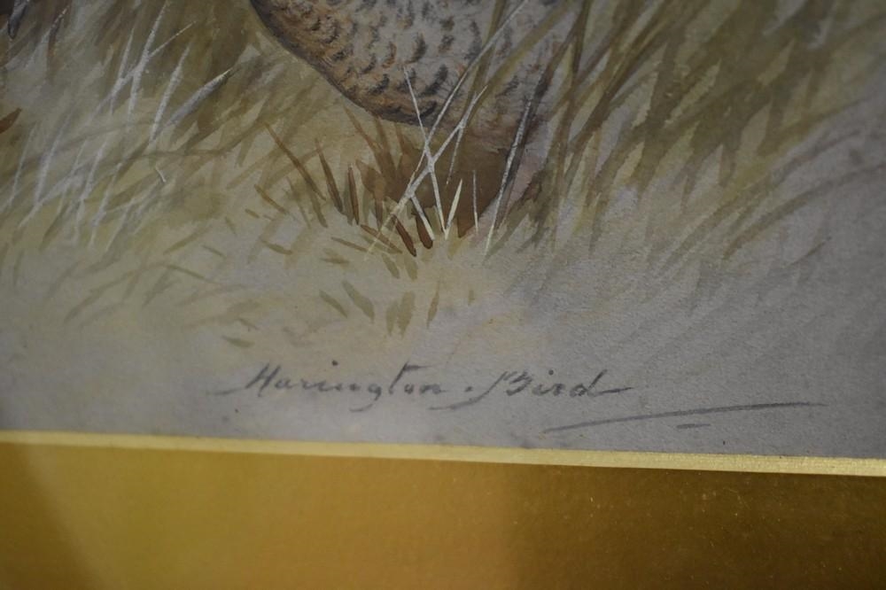 John Alexander Harrington Bird | A watercolour by John Alexander ...