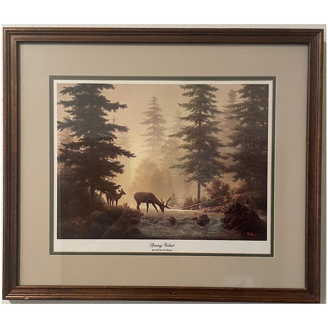 Dalhart Windberg | Spring Velvet | MutualArt