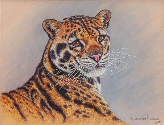 Kim Brooks | Clouded Leopard (1977) | MutualArt