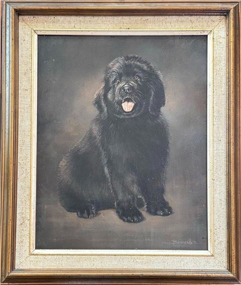 Don Bernard | Biography