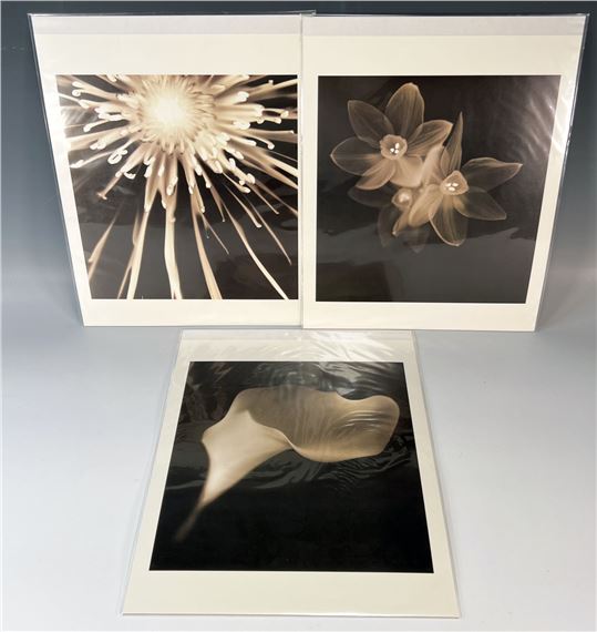 Melissa Springer | Biography