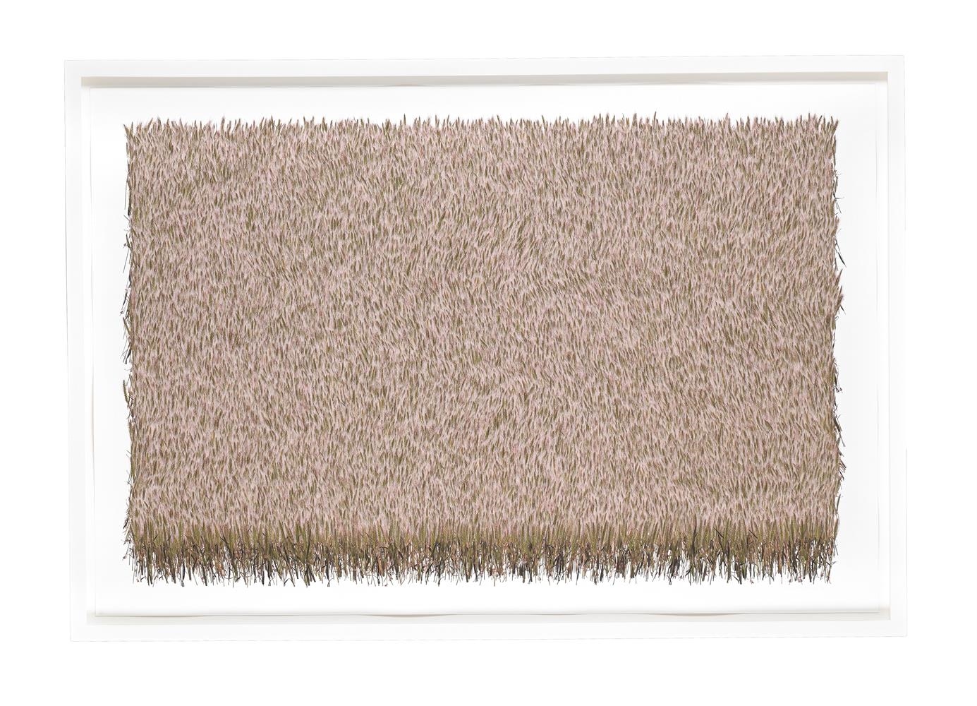 Simon Schofield | FIELD OBSERVATION 3 | MutualArt