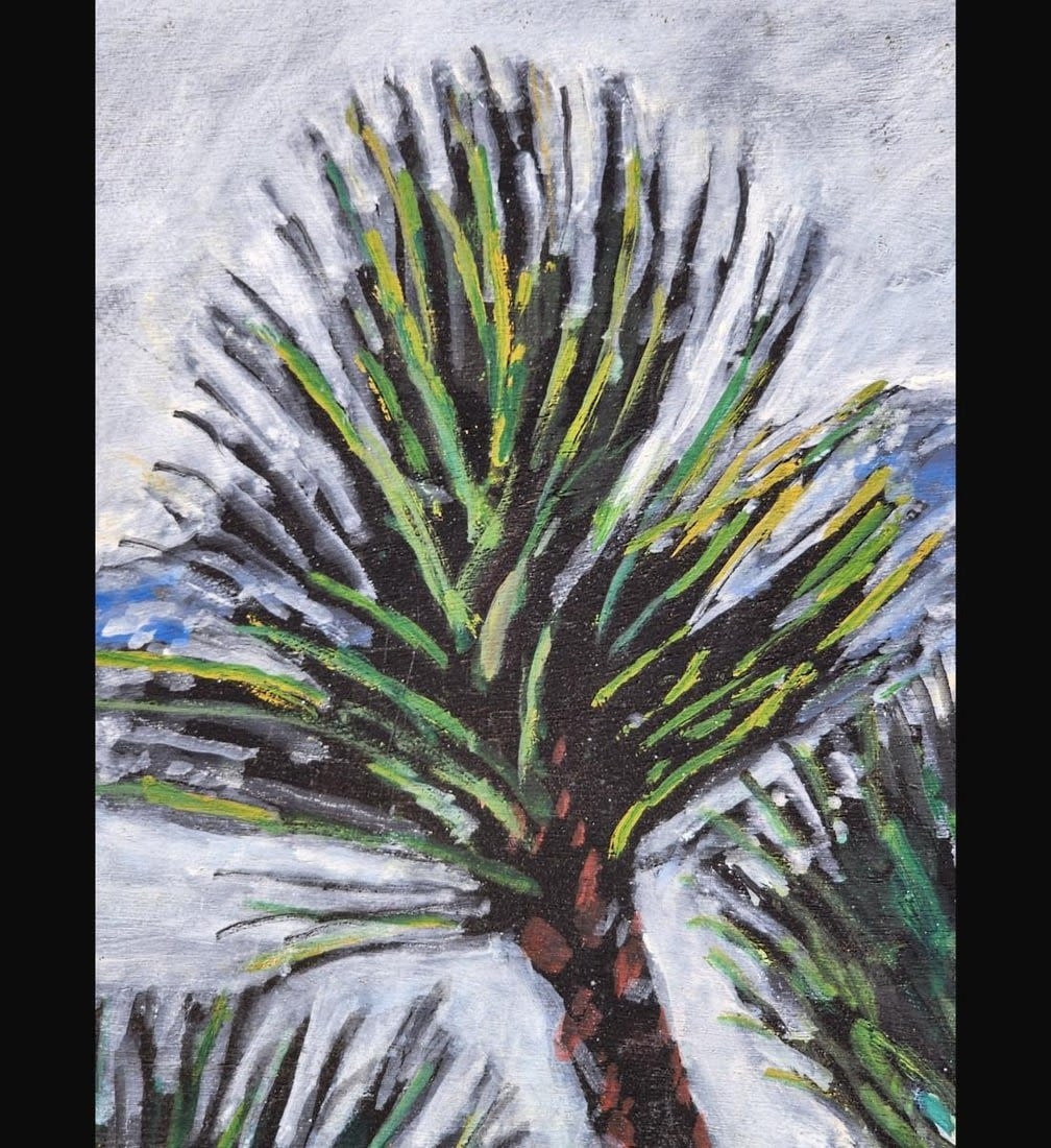 Evelyn Borchard Metzger | American Brazillian Evelyn Borchard Metzger ...