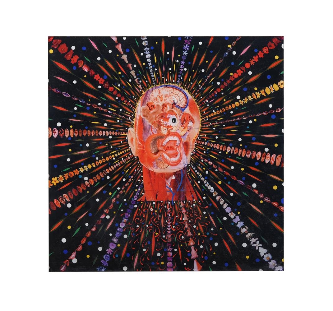 Fred Tomaselli | Penetrators (2012) | MutualArt