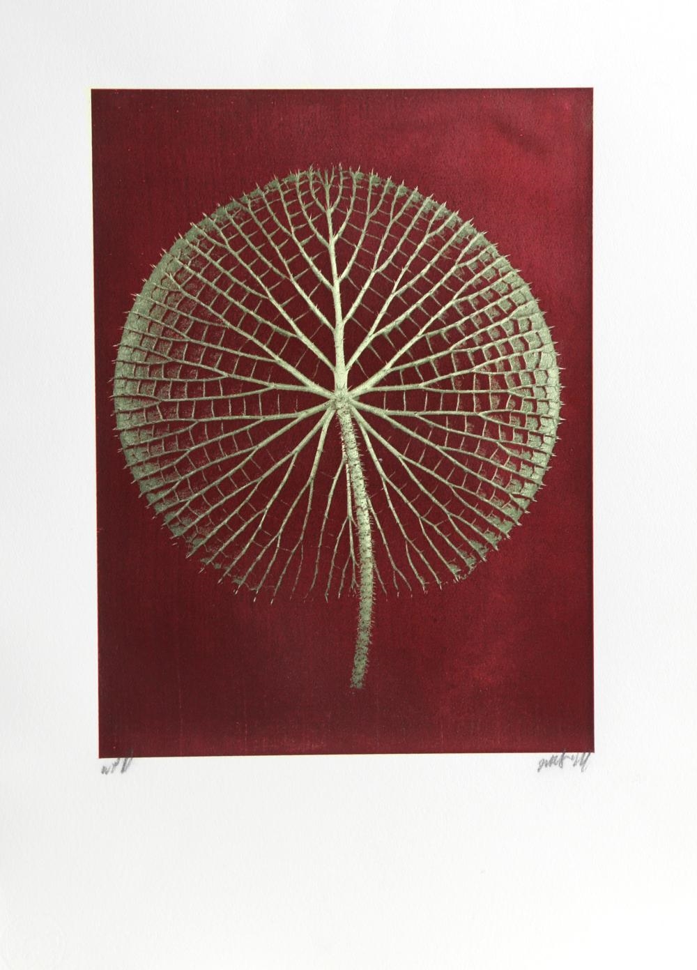 Jonathan Singer | GIANT GREEN AMAZON WATERLILY ON RED (2014) | MutualArt
